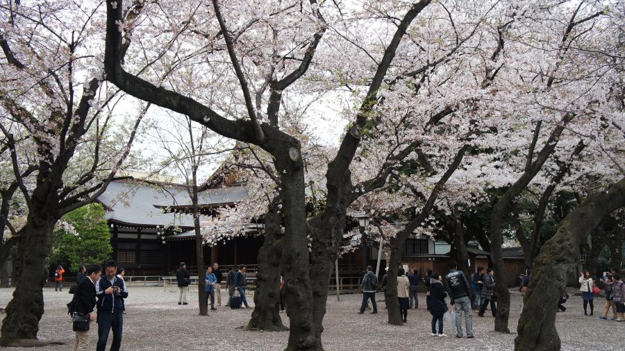 JCCC Podcast: All Things Japanese with John Ota | Japanese Canadian ...