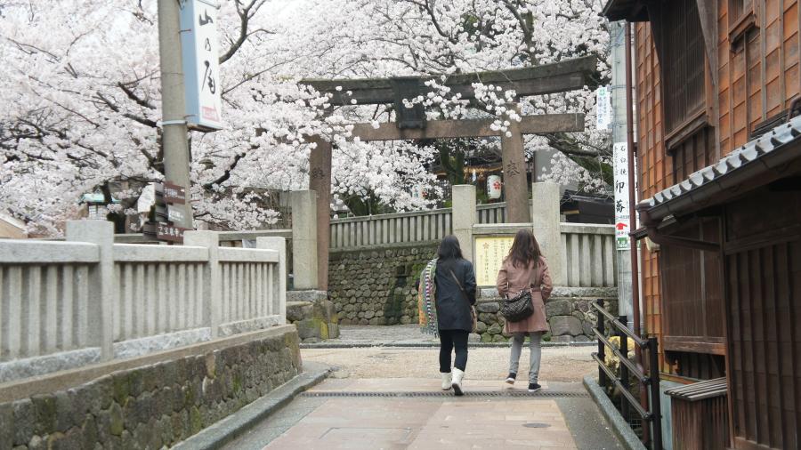 JCCC Podcast: All Things Japanese with John Ota | Japanese Canadian ...